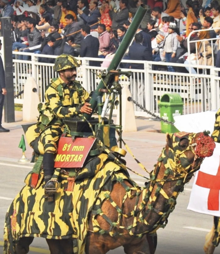 India Tactical Camel - 9GAG