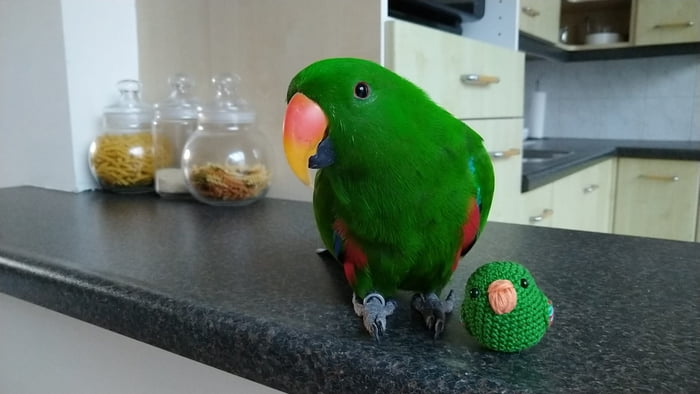 "I shall call him Mini-Me" - 9GAG