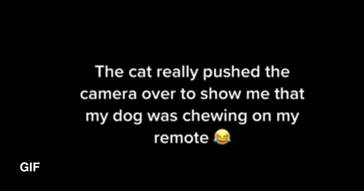 Busted 9gag