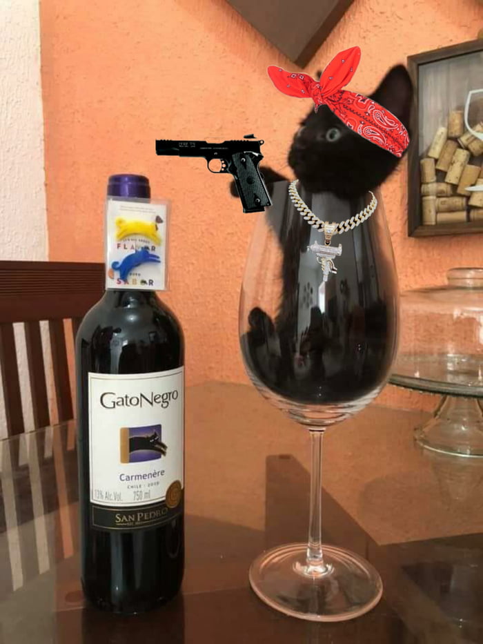 Here's the n*gro from the gato - 9GAG