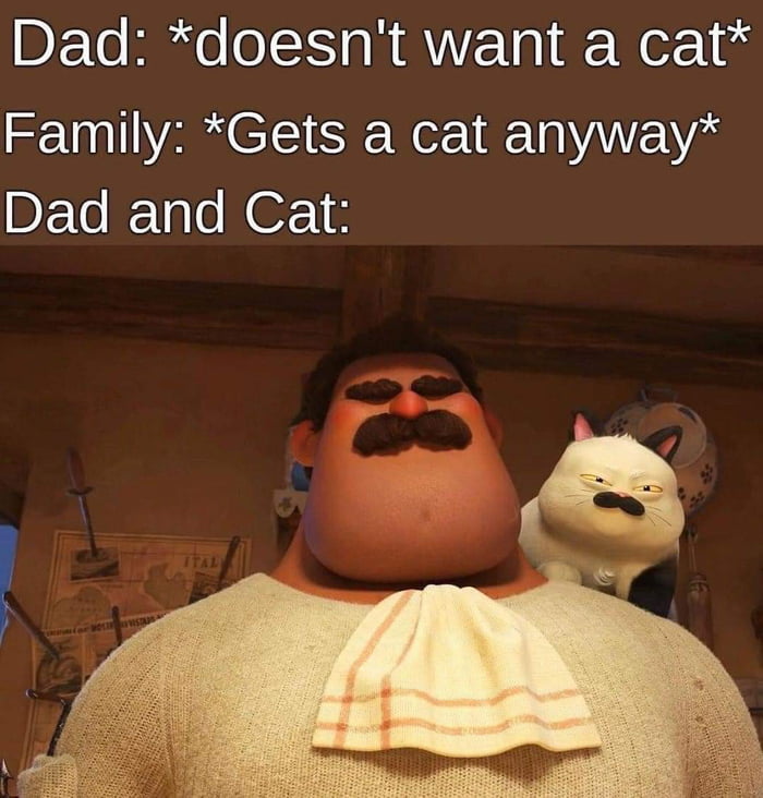 Best Grumpy Companions - 9GAG