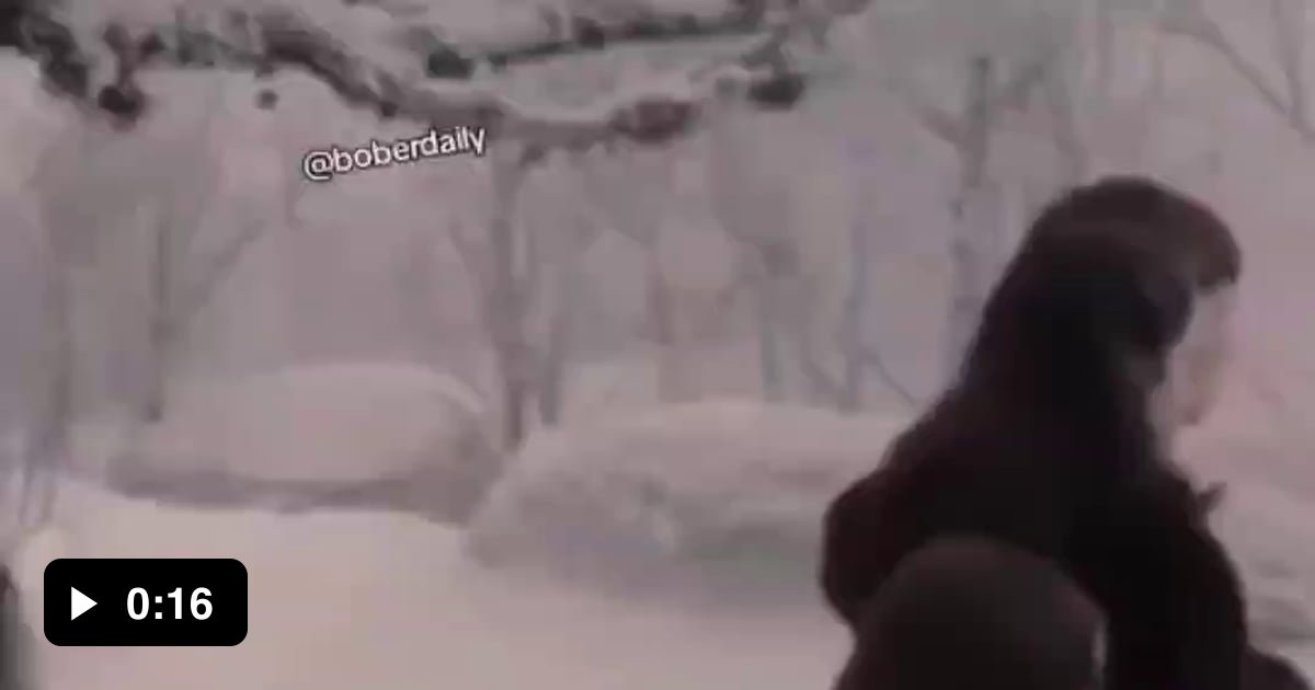 Who let the bóbr out? - 9GAG