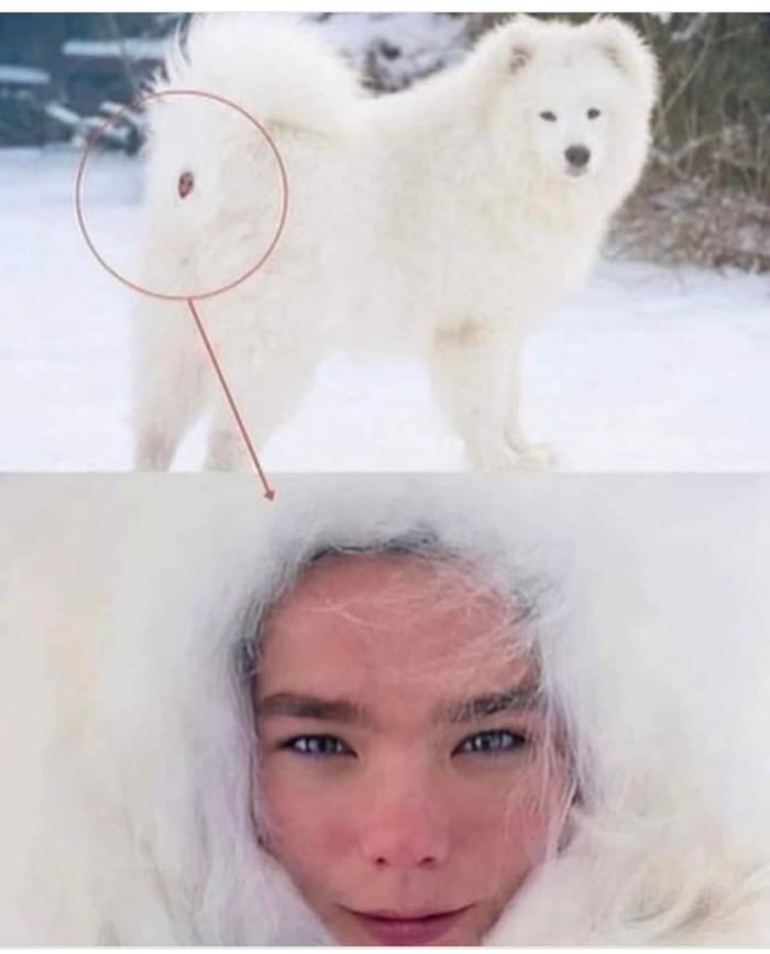 Dang it’s cold outside! - 9GAG