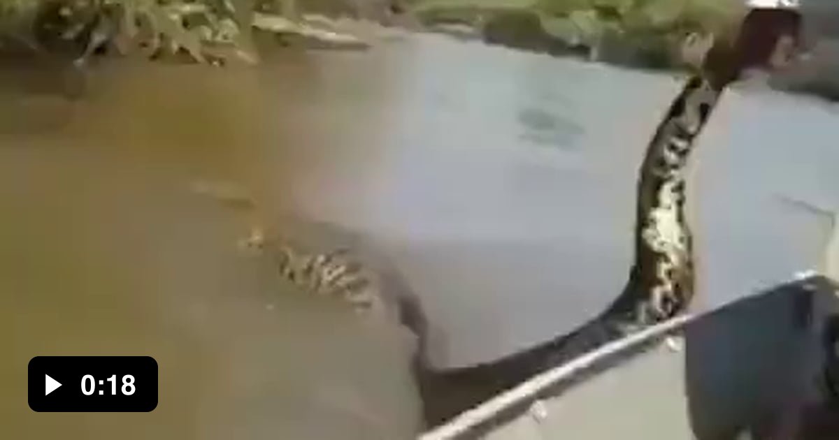 Holy Hell!! 😳 - 9GAG