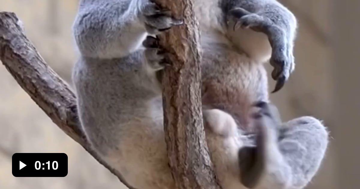 Bro being efficient - 9GAG