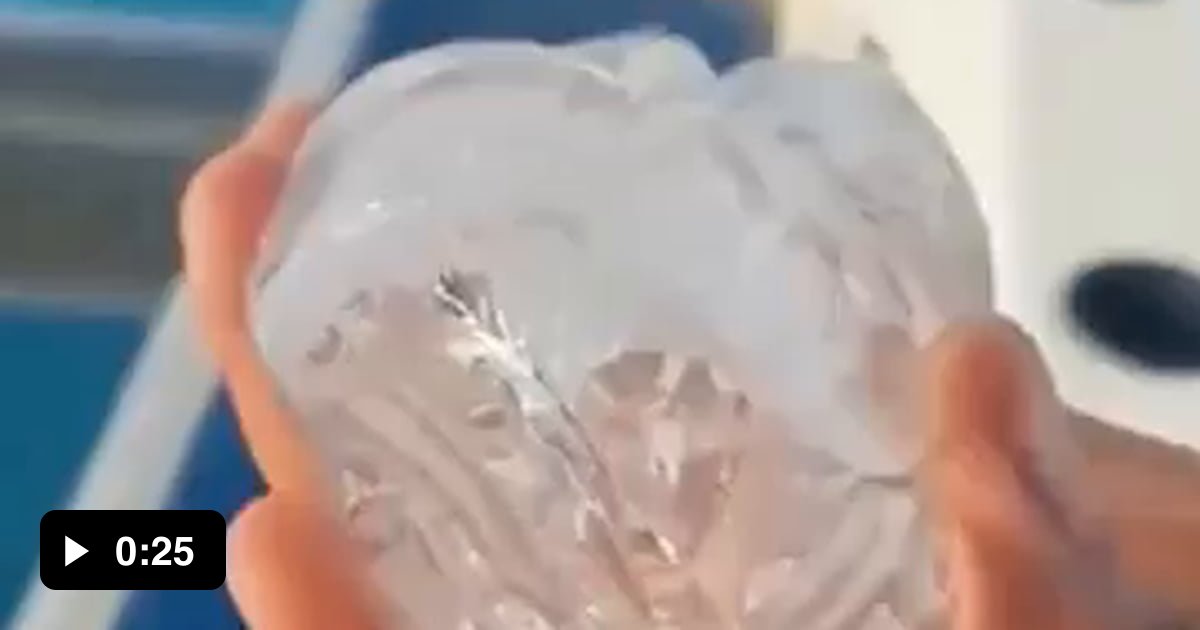 A Salp is this transparent creature. - 9GAG