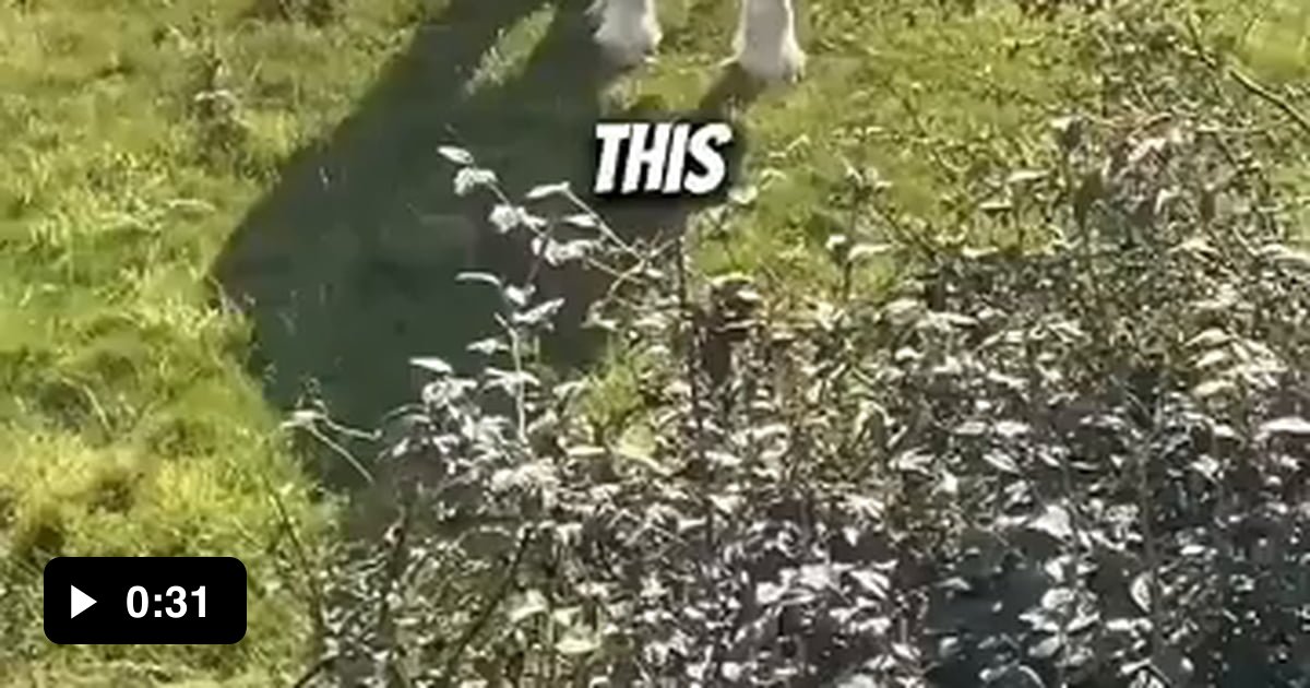 Steven just wants to take a nap - 9GAG