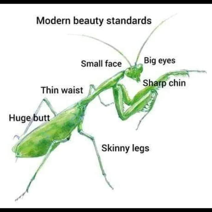 What A Beauty 9gag