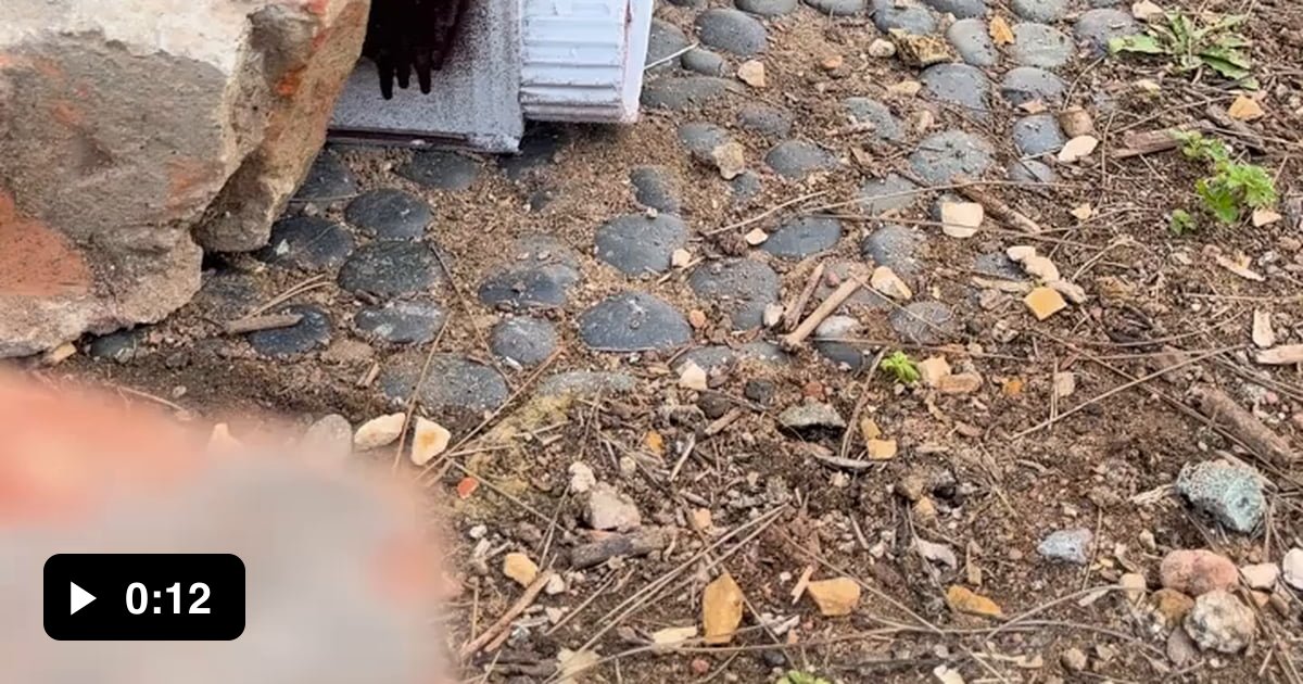 Cardboard Tank Firing An M80 Projectile 9gag