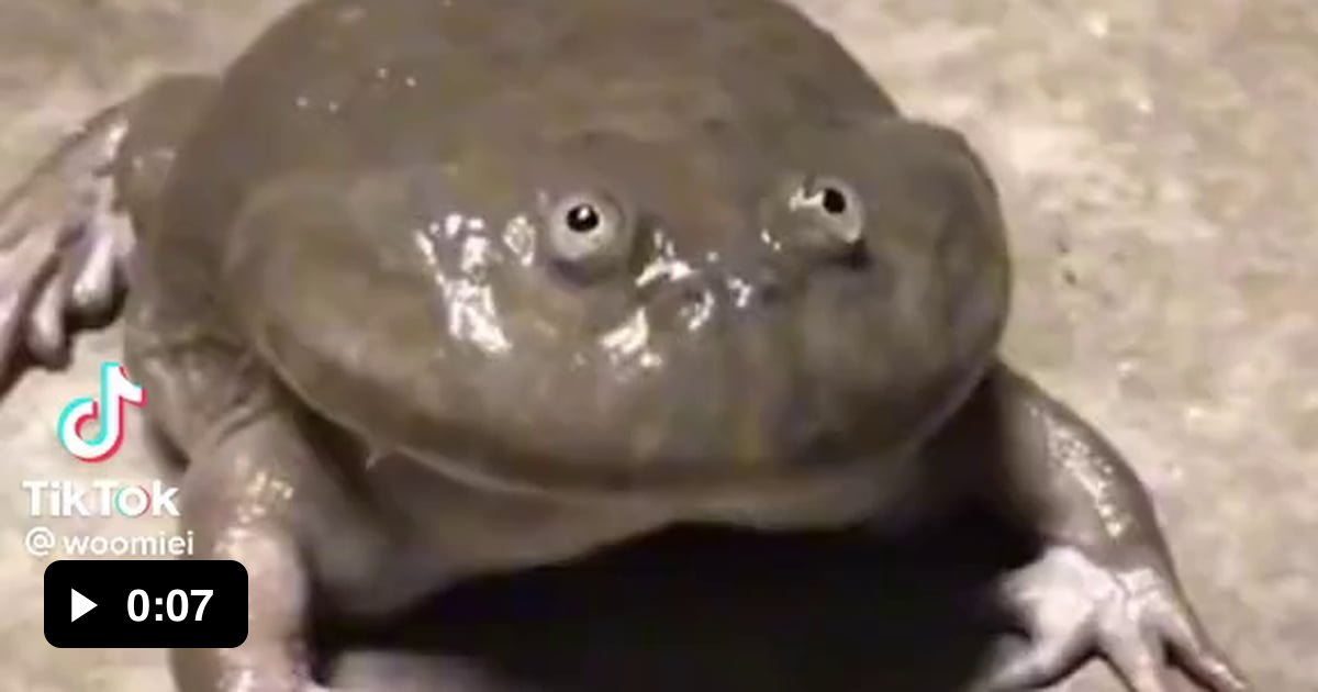 It’s the Wednesday Toad…… - 9GAG