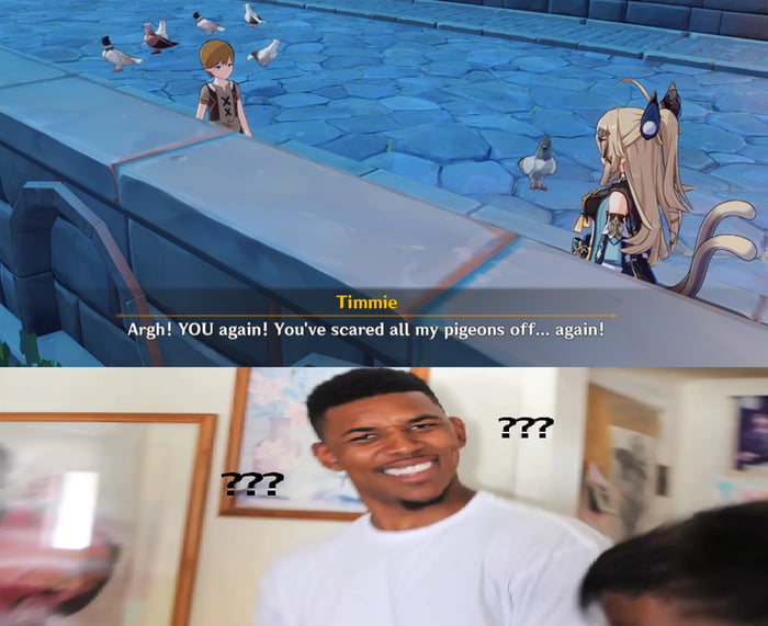 The pigeons are right there Timmy... - 9GAG