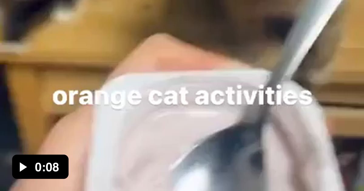 You know what the say about orange cats - 9GAG