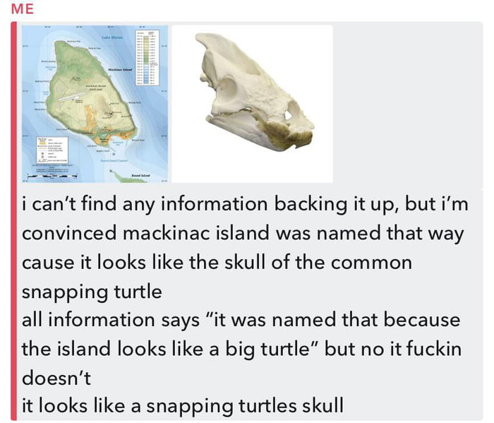 Turtle Island? Snapping Turtle Head Island. - 9GAG