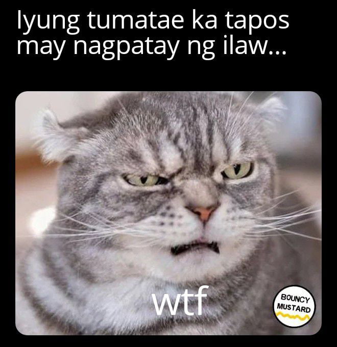 Pahiran kita ng tae paglabas ko dito!!! - 9GAG