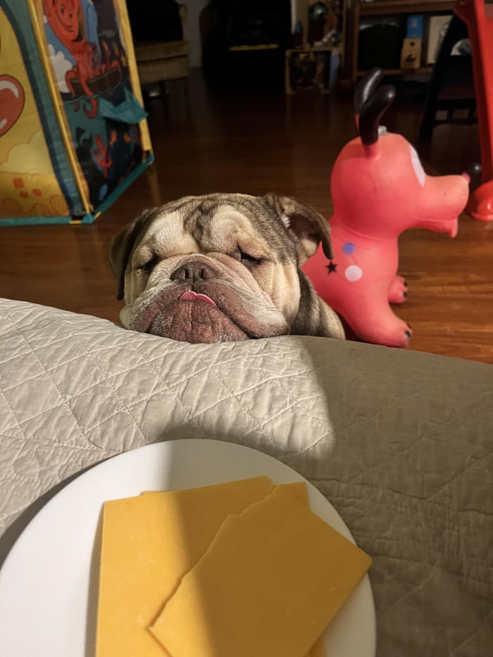 Look who shows up when the cheese is out - 9GAG