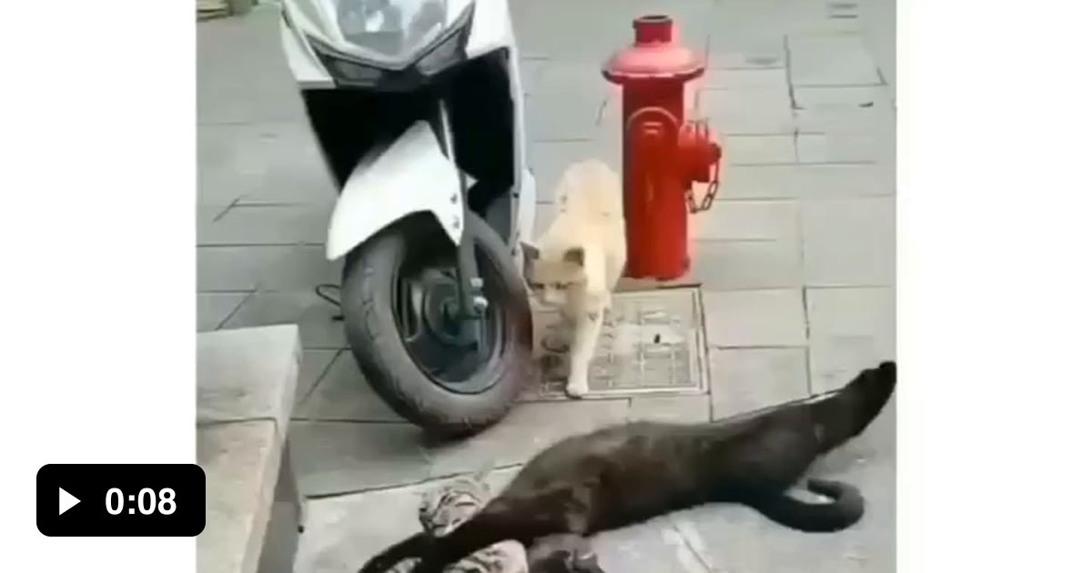 Busted 9gag