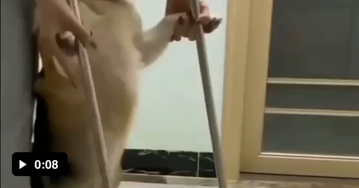 Misdirected, you clean up! - 9GAG