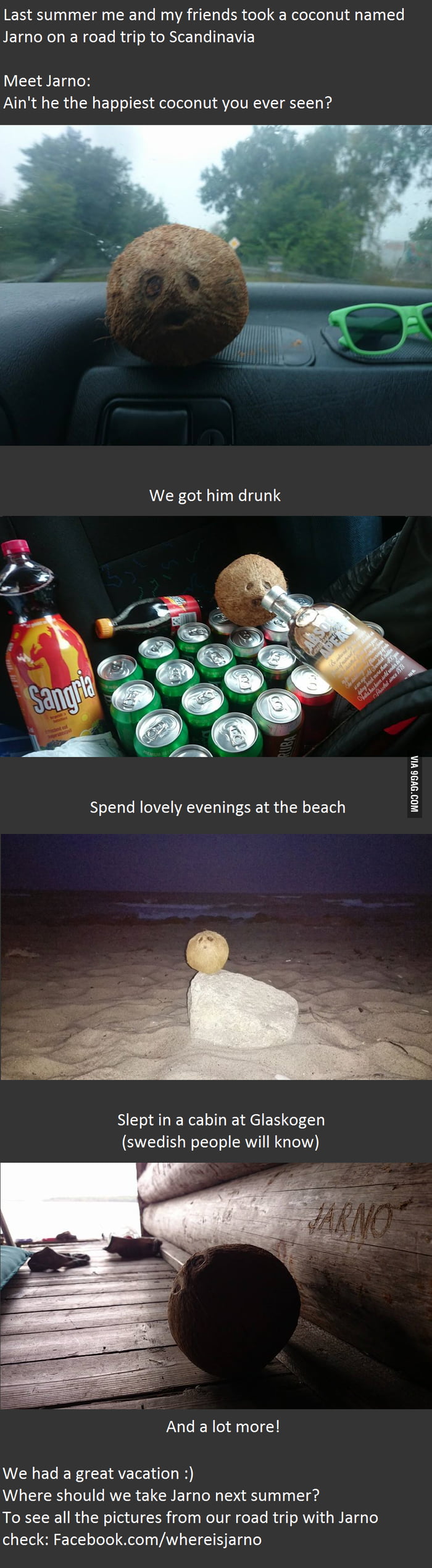 Meet Jarno the coconut - 9GAG