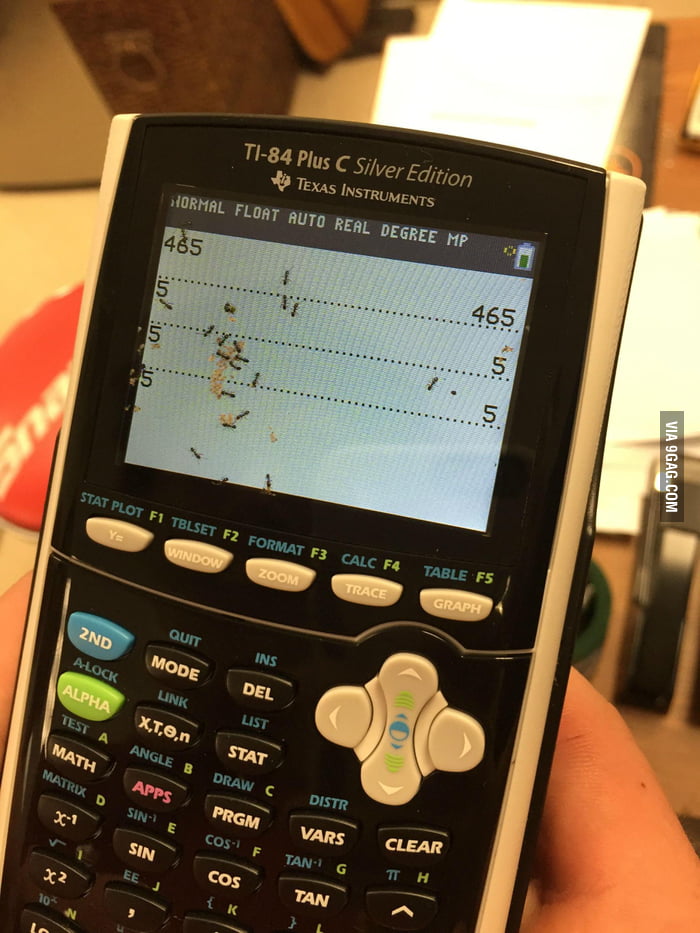 There is an ant colony in my friends calculator. Whenever he turns it ...