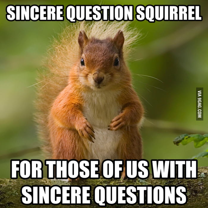 Someone asked a sincere question. I felt like maybe that deserves its ...