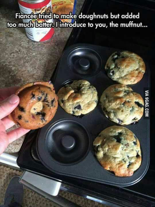 Muff'nuts look delicious! - 9GAG