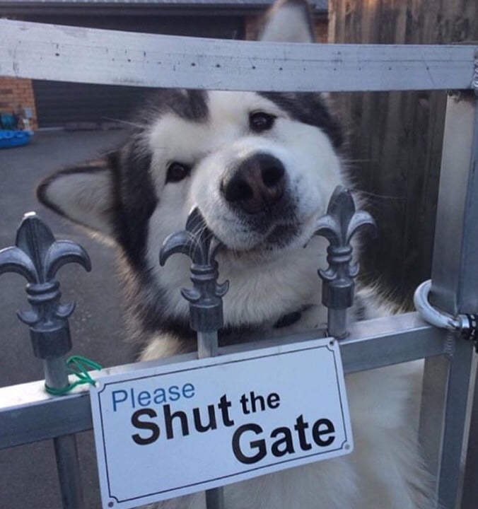 Nope, not gonna work. Opening that gate. - 9GAG