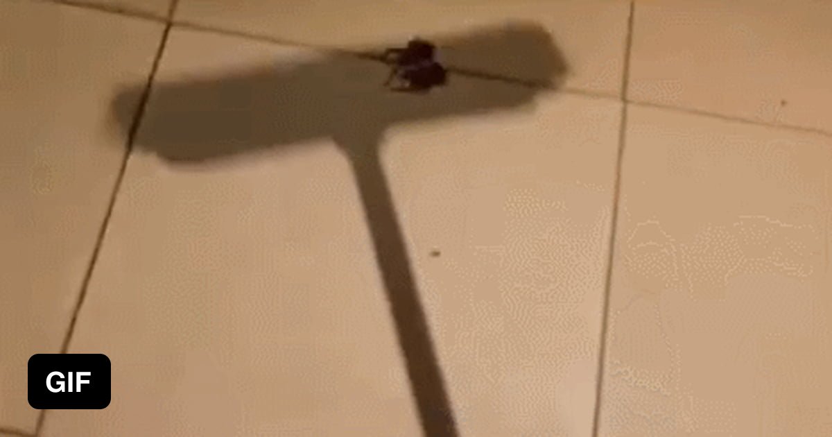 A Most Appropriate Response to the Situation - 9GAG