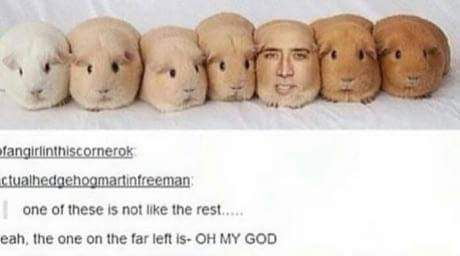 Nothing wrong here - 9GAG