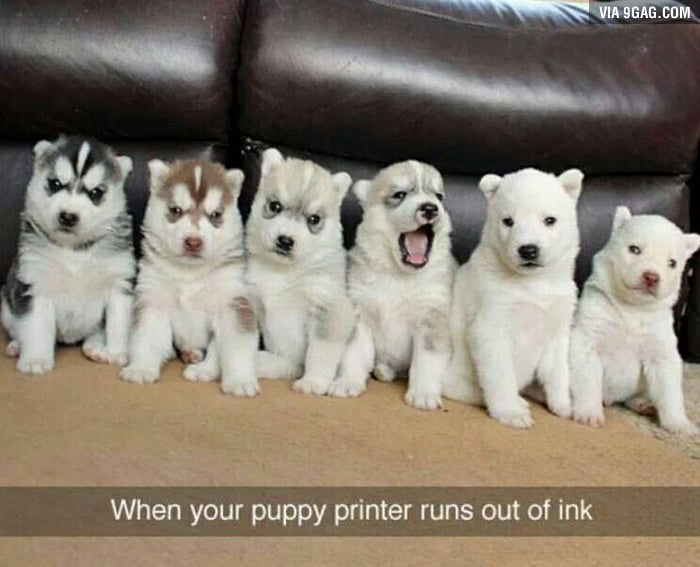 Aww... so cute! - 9GAG