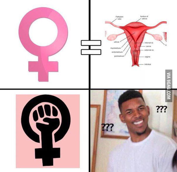They did't think much while developing feminazi emblem - 9GAG