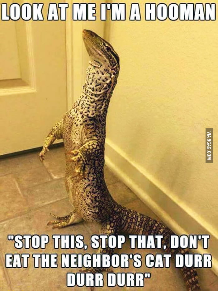 Bad Human! - 9GAG