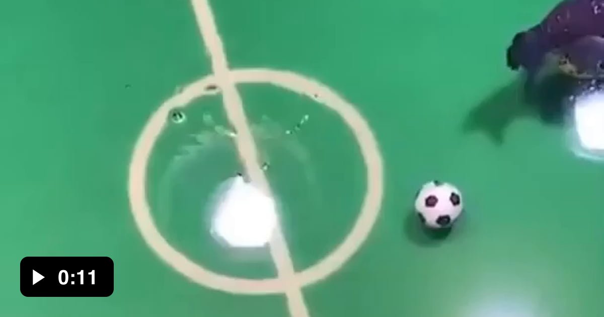 Guy teaches fish to play football - 9GAG