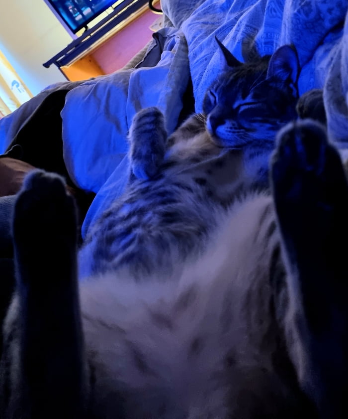 Professional Sleeper - 9GAG