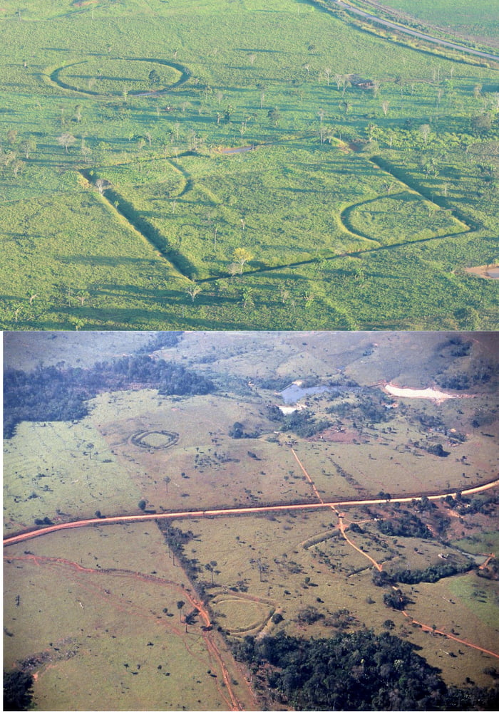 Deforestation of Amazonian Rainforest revealed earthworks which changed ...