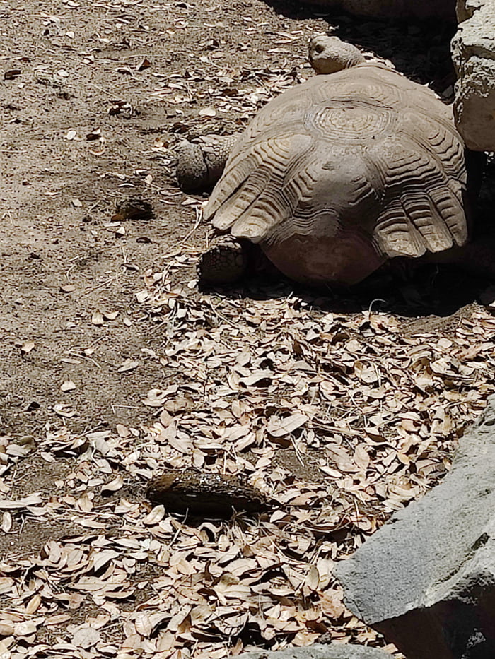 You seeing this shit - 9GAG