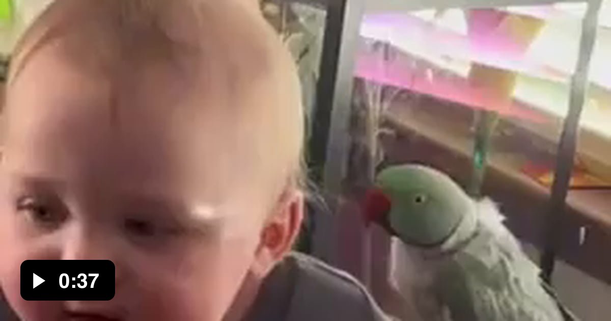 Mutual love, double cuteness. - 9GAG