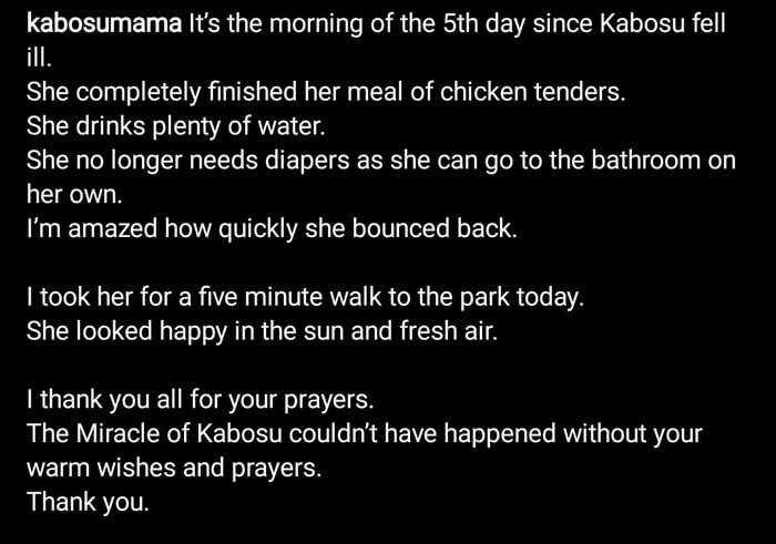 Good news from queen doge - 9GAG