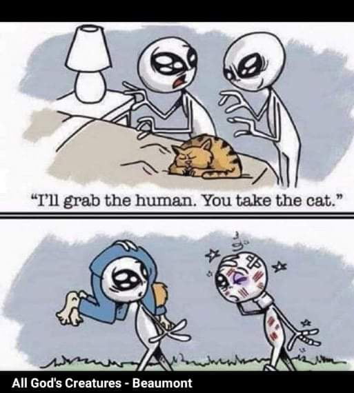 Lessons 9gag