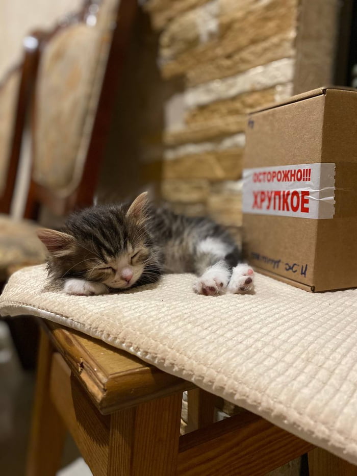 She's so tiny - 9GAG