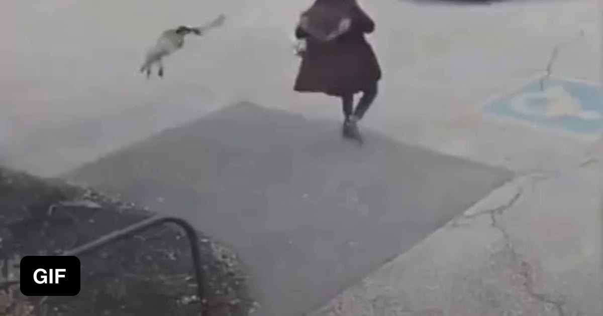 There is no escape. There was no escape. There cannot be any escape. - 9GAG