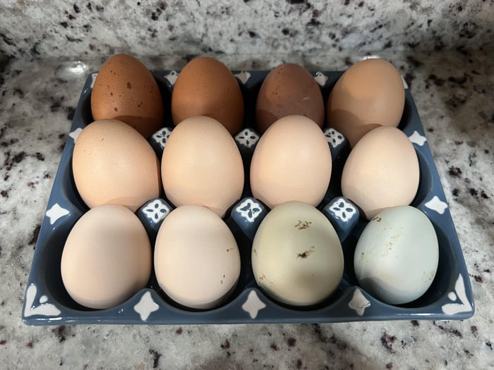 Egg Haul Spectrum - 9GAG