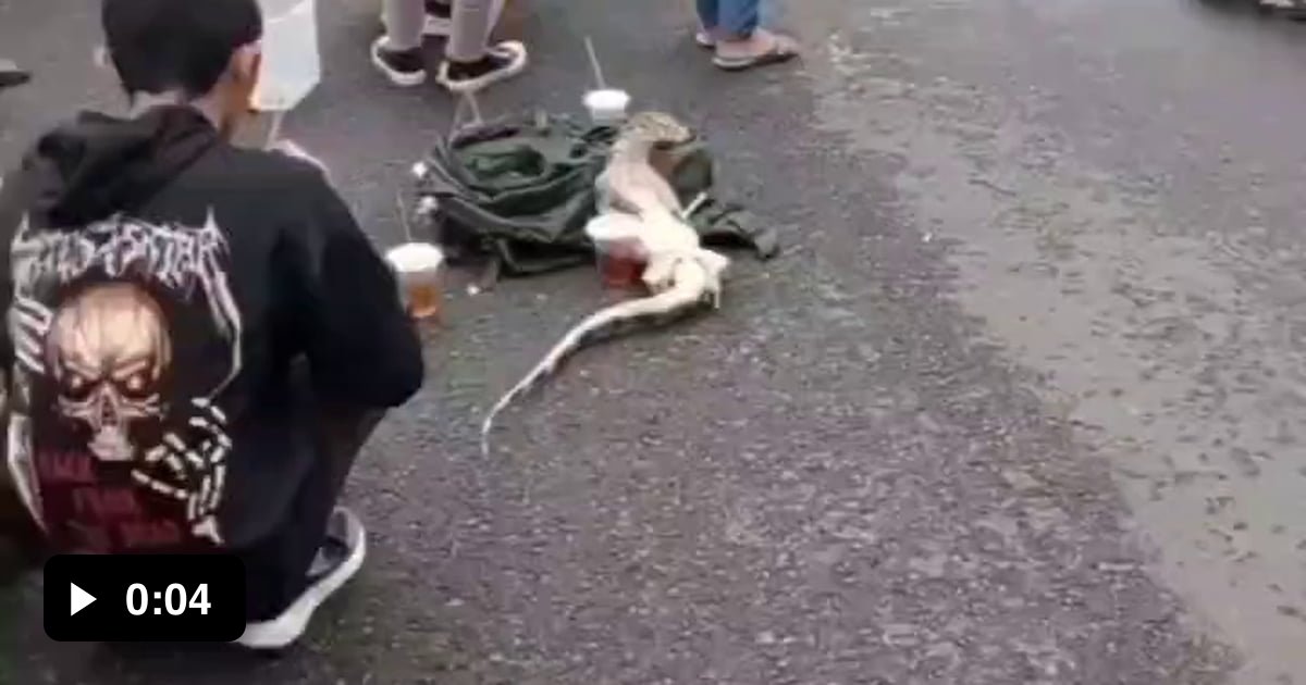 Just chill bro!! - 9GAG