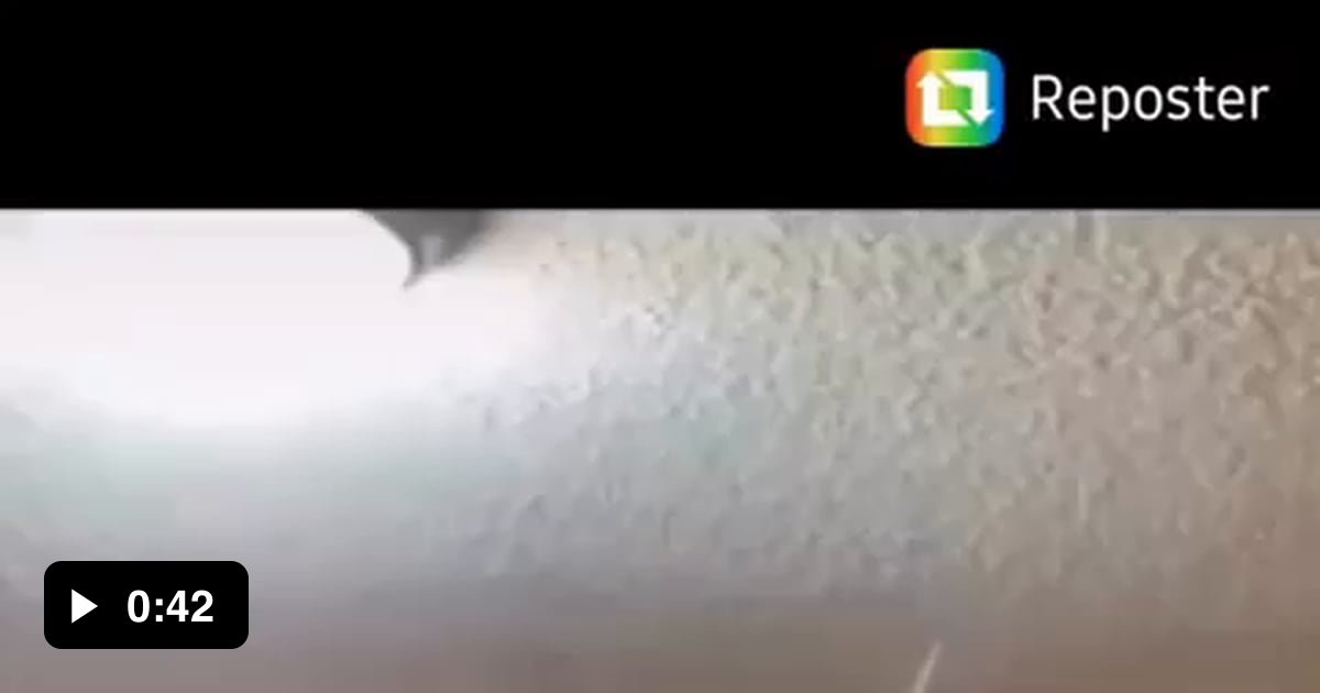 Wait for the mating call - 9GAG