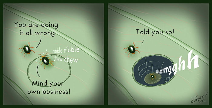 Nibble it the right way - 9GAG