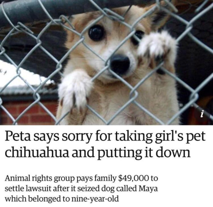 Heya, just here to remind everybody that peta kidnapped and euthanized ...