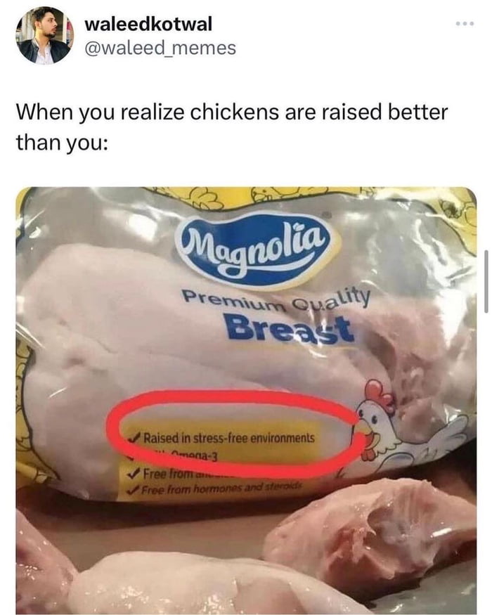 Guess I’ll be chicken - 9GAG