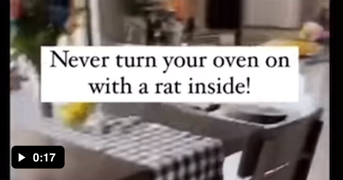 Poor rat got baked - 9GAG