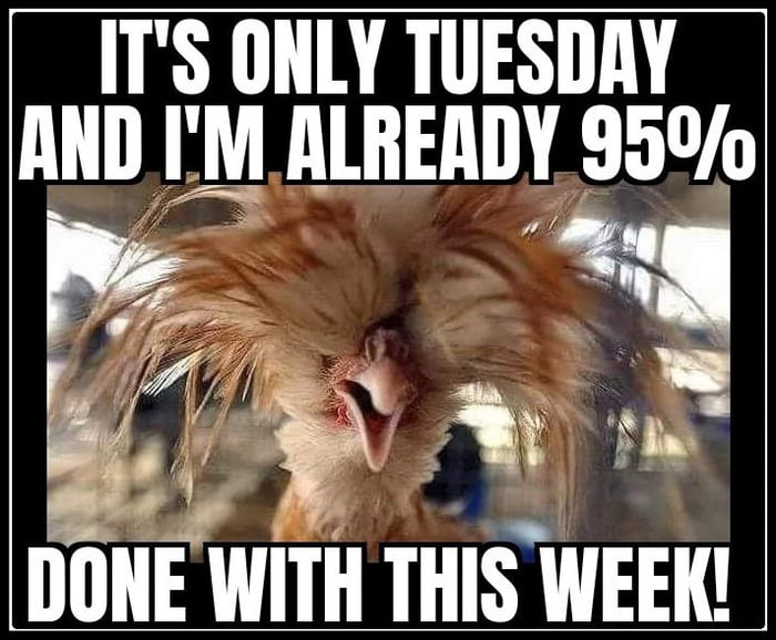 Tuesday humor - 9GAG