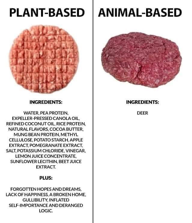 Vegan meat vs meat - 9GAG