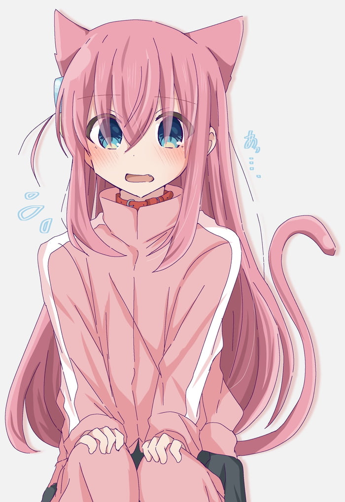 Bocchi the Cat - 9GAG